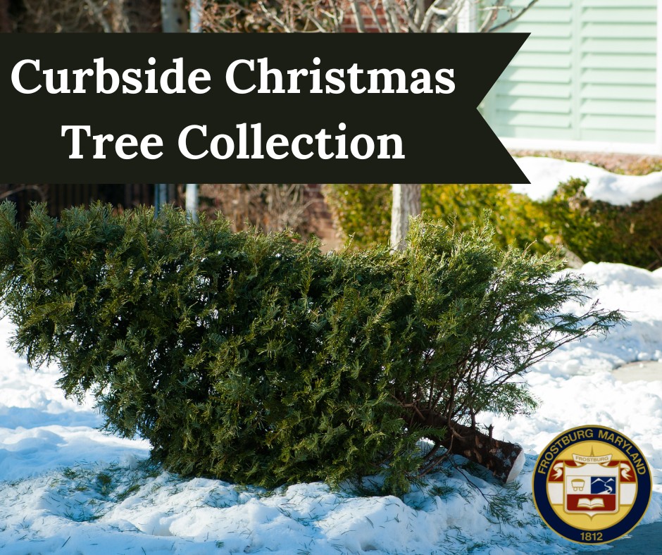 Curbside Christmas Tree Collection | Frostburg Maryland